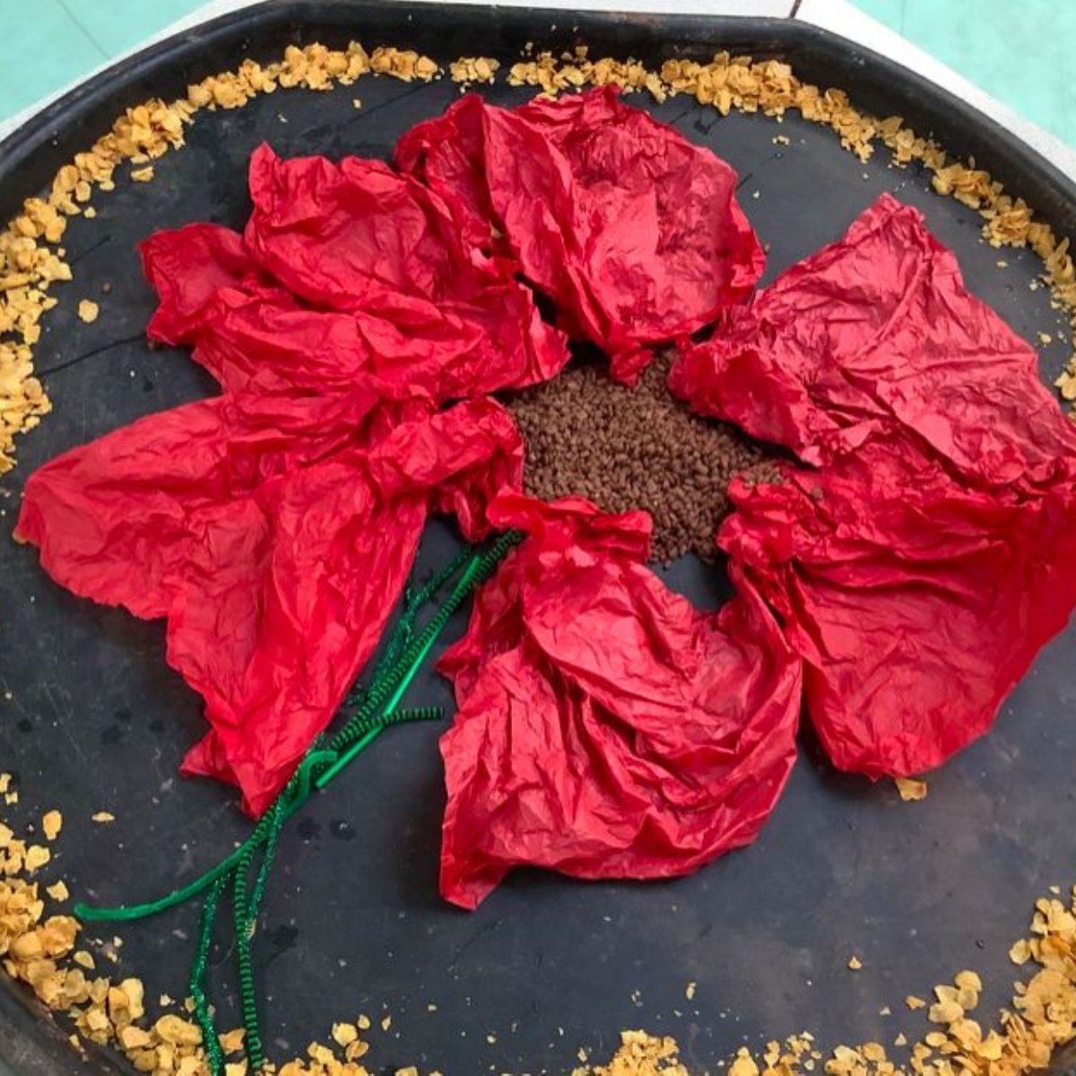 Remembrance Day - Castle School